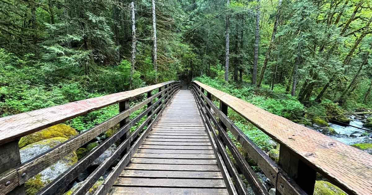 This Easy 4.4-Mile Trail In Washington Takes You To A Jaw-Dropping 265 ...