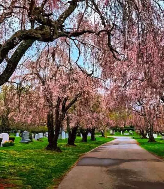 kentucky beautiful spots cemetery ftr