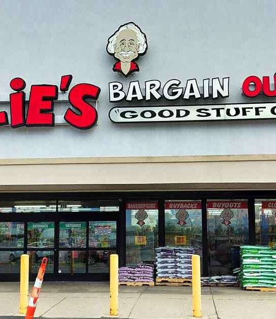 kentucky discount store discover ftr