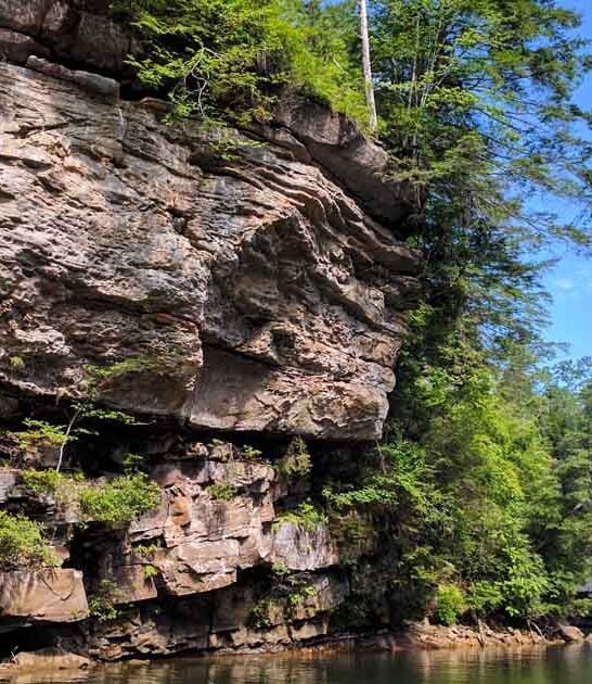 kentucky middle earth stunning ftr