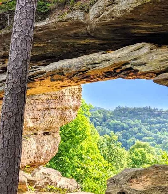 kentucky spot lord rings ftr