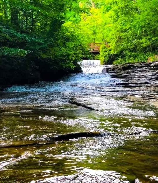know incredible spring kentucky ftr