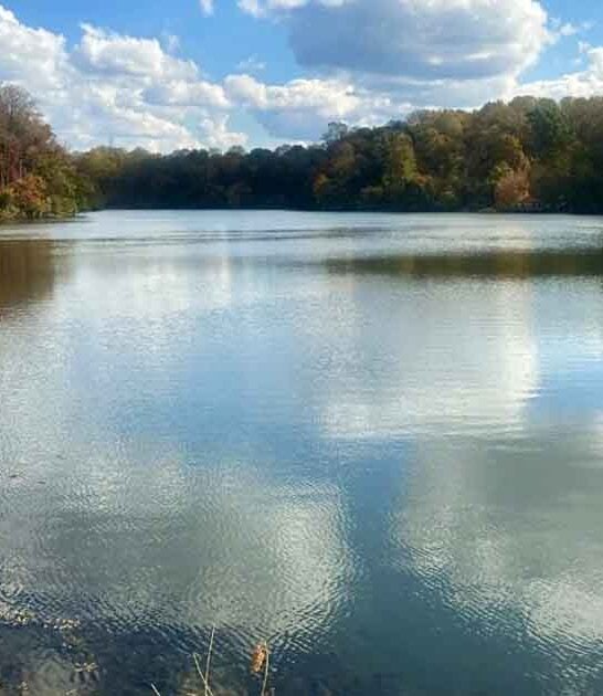 lake elkhorn trail maryland ftr