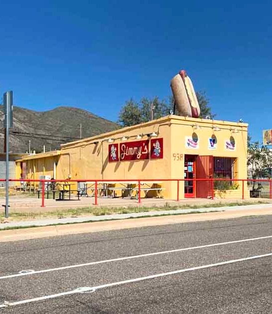 legendary arizona dog stand ftr