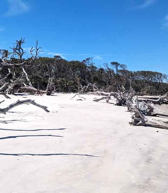 9 Bucket-List Florida Attractions For Those Who Are Obsessed With Nature