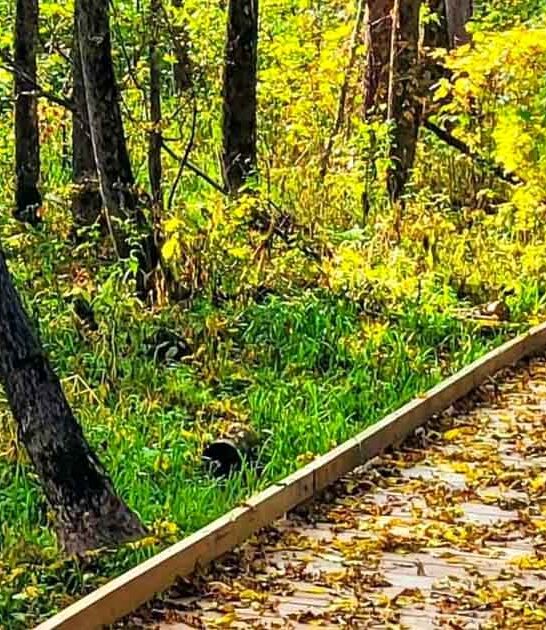 little known minnesota destination ftr