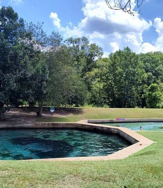 locals alabama natural spring ftr