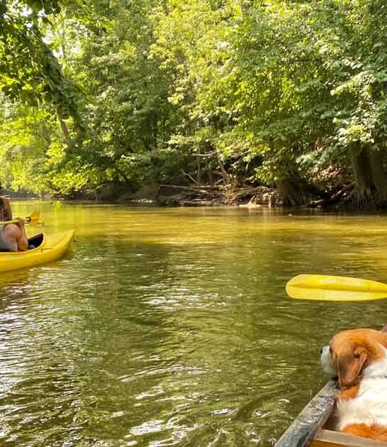 long distance float ohio ftr
