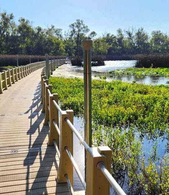 longest boardwalk hiding texas ftr