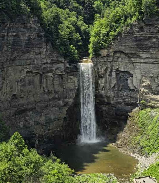 love new york park ftr
