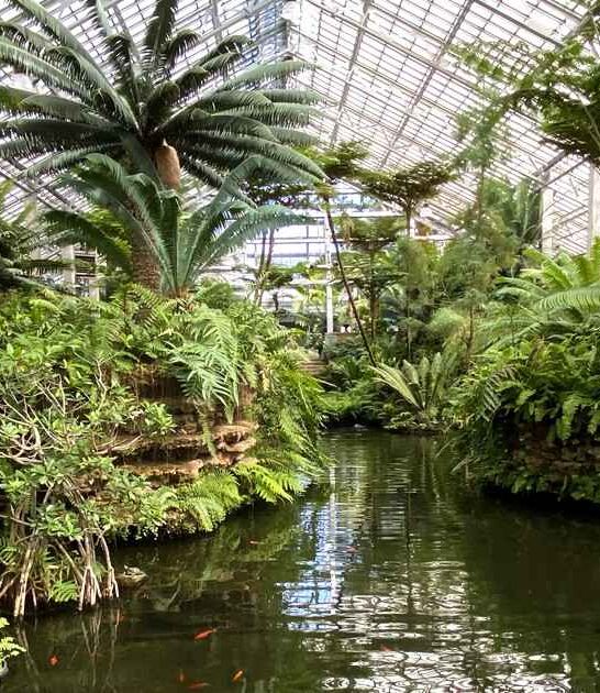 magical conservatory illinois world ftr