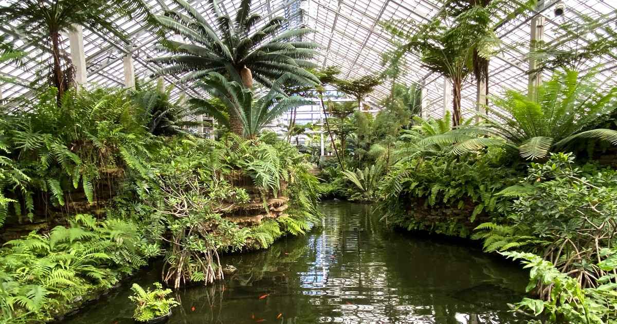 The Magical Conservatory In Illinois That Feels Like Stepping Into ...
