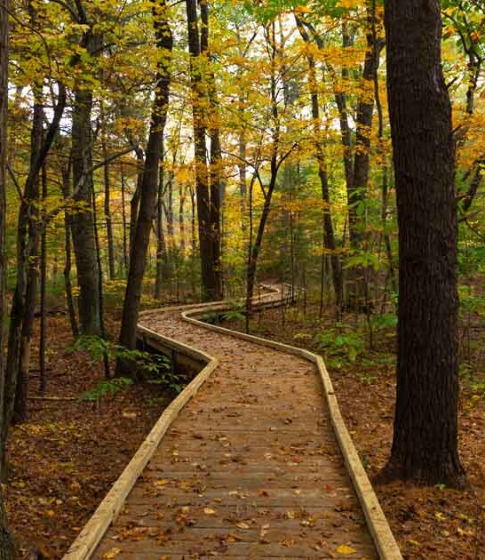 magical garden hike massachusetts ftr