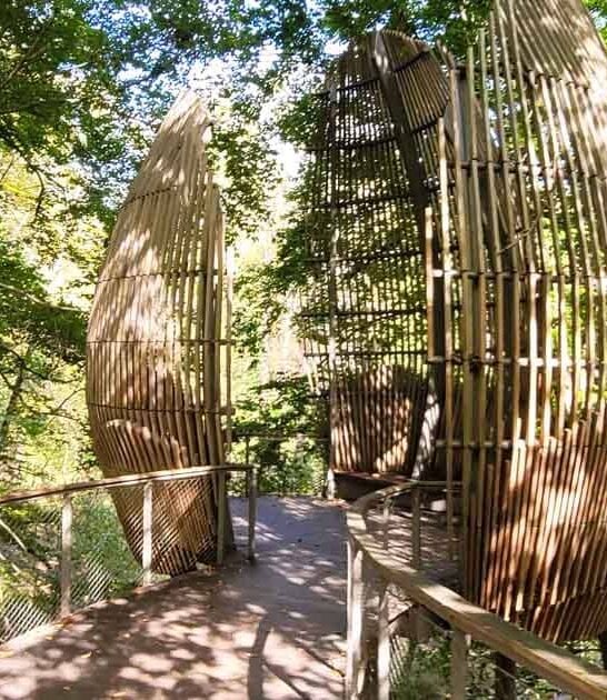 This Magical Nature Preserve In Georgia Is Like Stepping Into A Fairytale