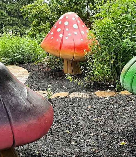 magical ohio park whimsical ftr