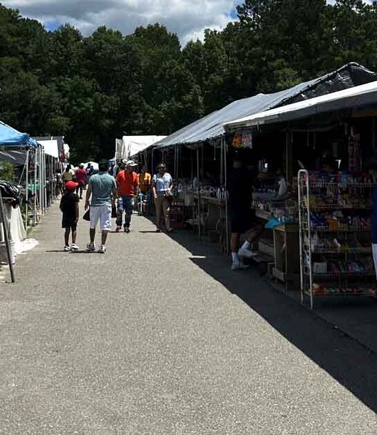 market shopping south carolina ftr