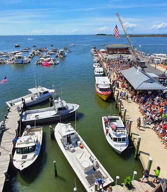 maryland blue crab capital ftr