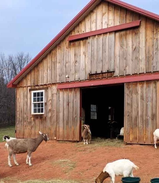 maryland discover wildlife farm ftr