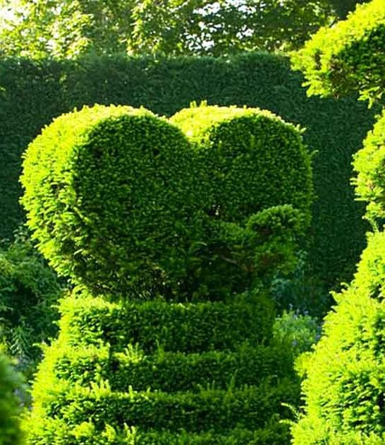 maryland enchanting gardens dream ftr