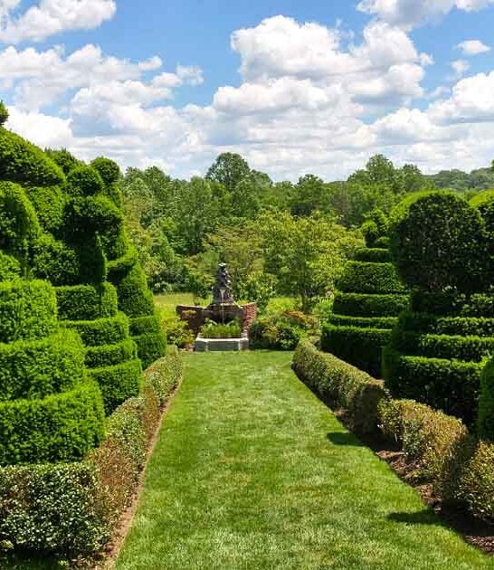 maryland fairytale garden magic ftr