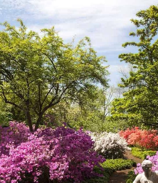 maryland fairytale garden spellbound ftr