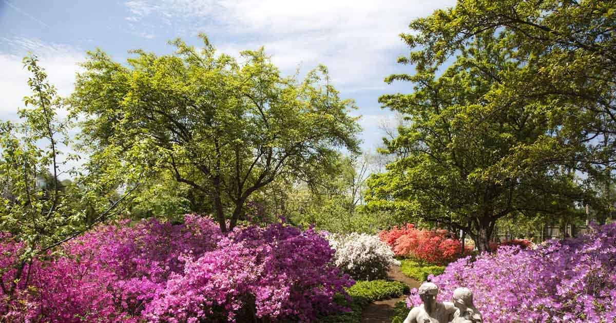 The Fairytale-Like Garden In Maryland That Will Leave You Absolutely ...