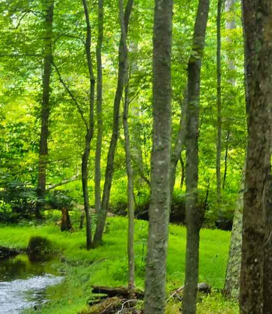 maryland hidden nature escape ftr