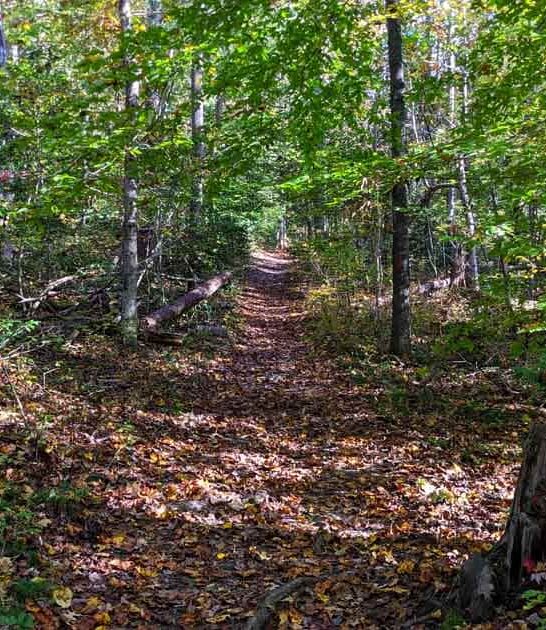 maryland quiet state park ftr