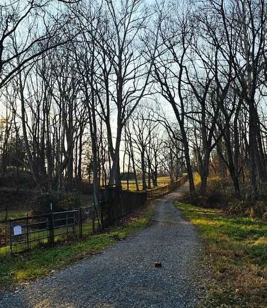 maryland secret nature trail ftr
