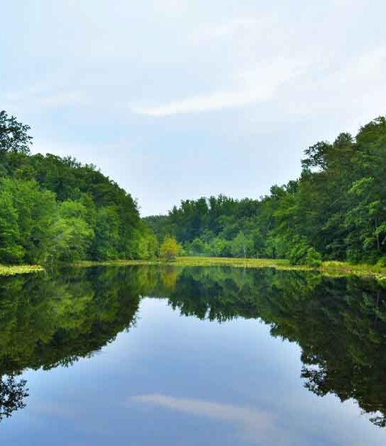 maryland serene state park ftr