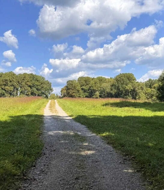 maryland stunning nature trail ftr