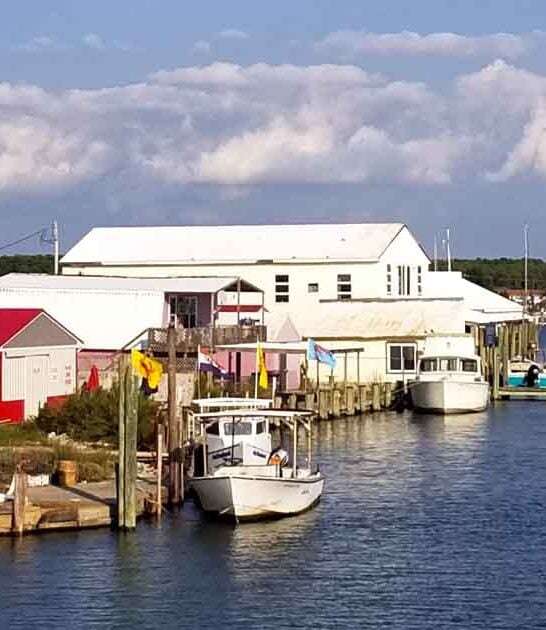 maryland town blue crab ftr