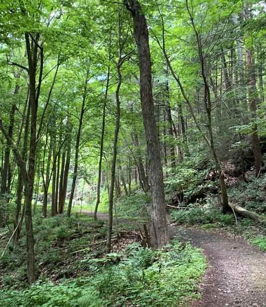 massachusetts breathtaking state parks ftr