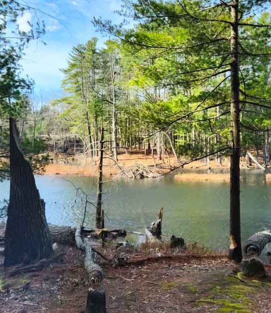 massachusetts breathtaking trail ftr