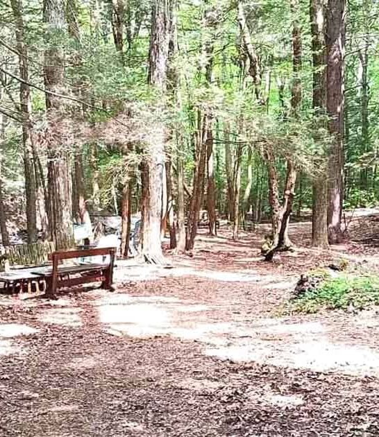 massachusetts hike nature gem ftr