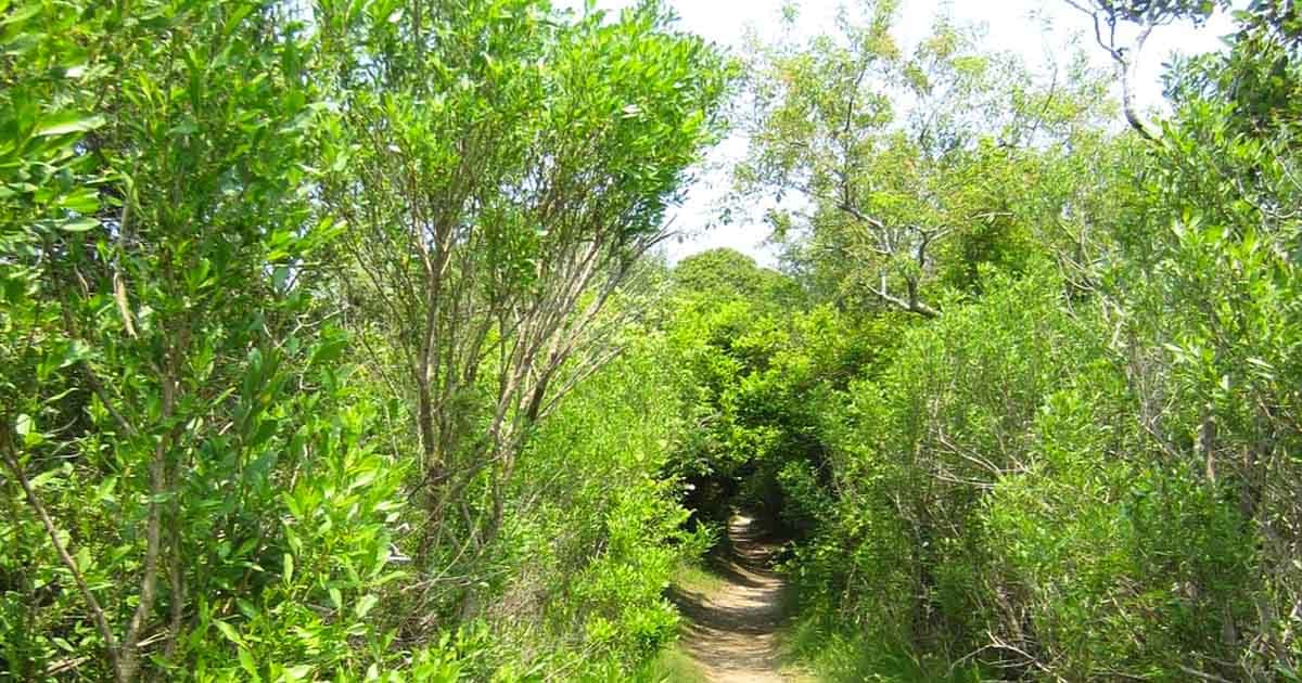 This Easy Loop Trail In Massachusetts Leads To Some Of The Prettiest ...