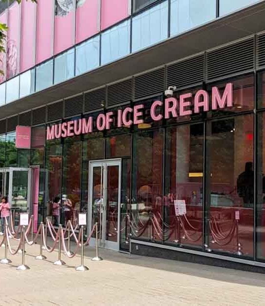 massachusetts museum sugary bliss ftr