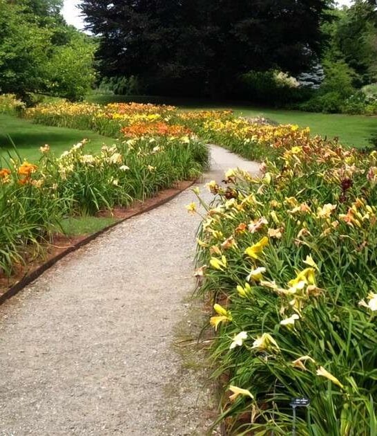 Massachusetts Has 15 Nature Activities You Absolutely Cannot Miss