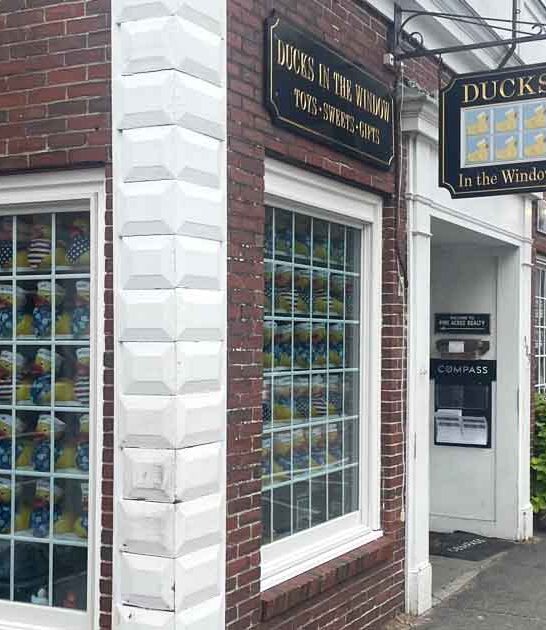 massachusetts rubber duck shop ftr