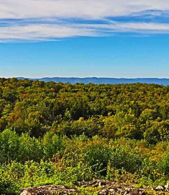 massachusetts state park breathless ftr