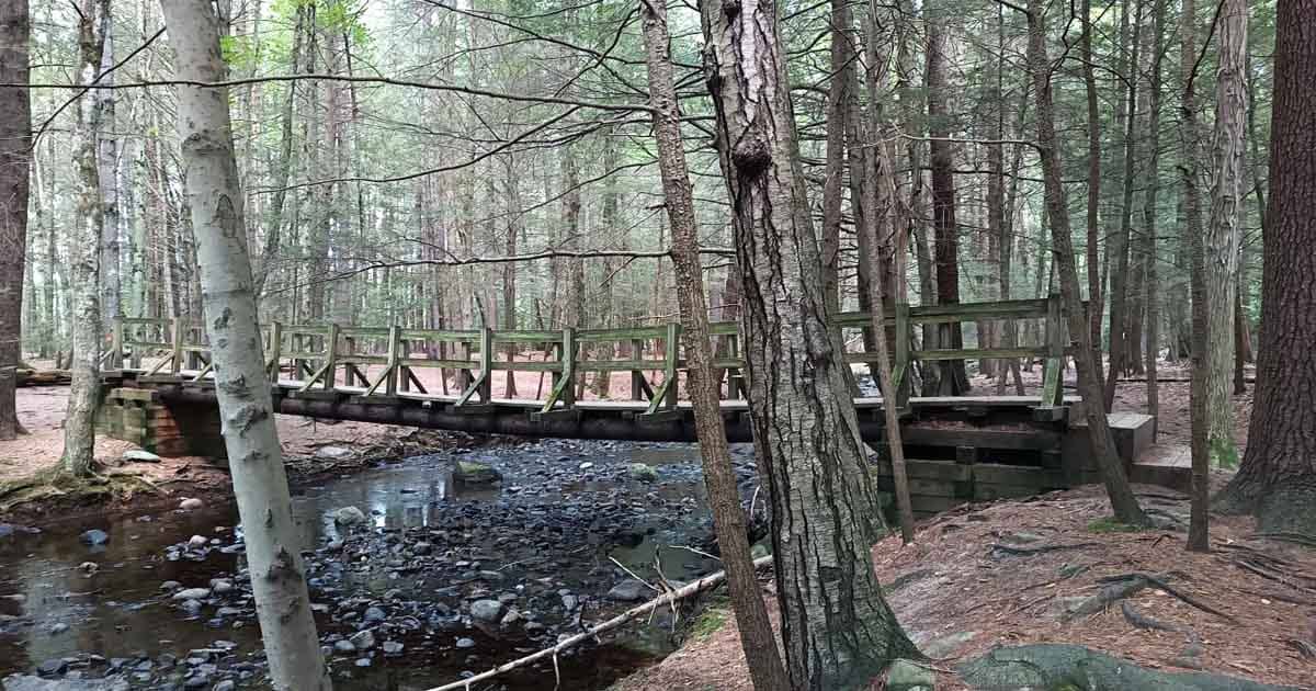 You Haven't Truly Explored Massachusetts Until You've Taken This Hike