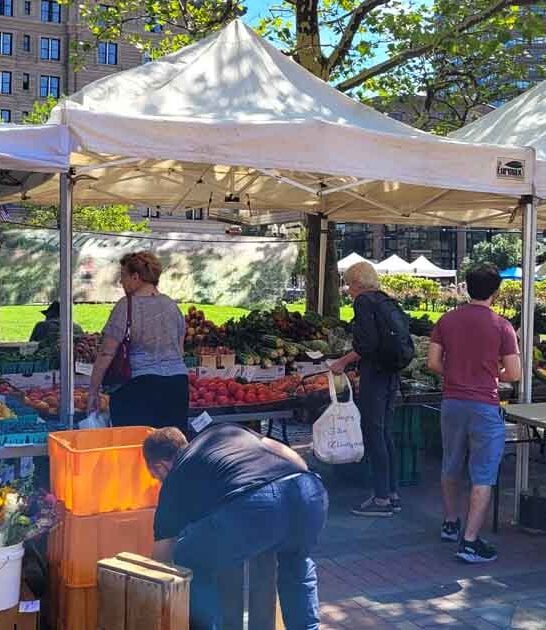 You’ve Never Seen A Farmers Market Quite Like This One In Massachusetts