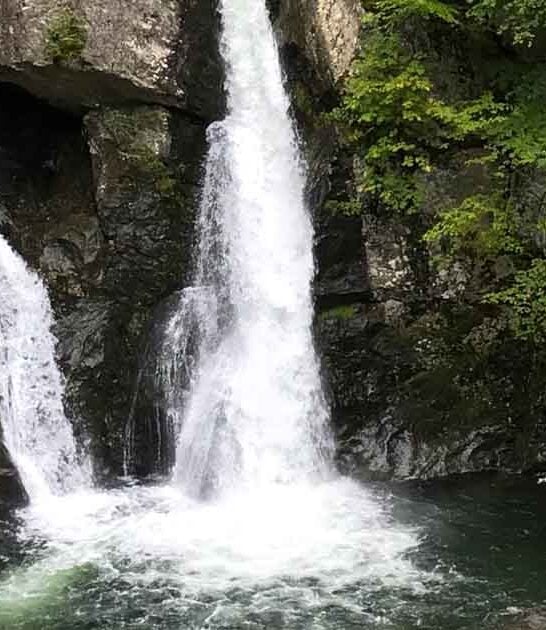 massachusetts visit state parks ftr