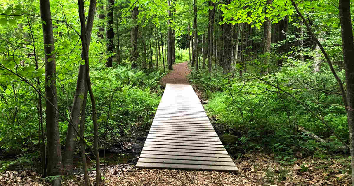 This Hidden Waterfall Loop Trail In Massachusetts Will Leave You Speechless