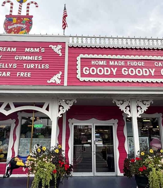 massive candy store wisconsin ftr
