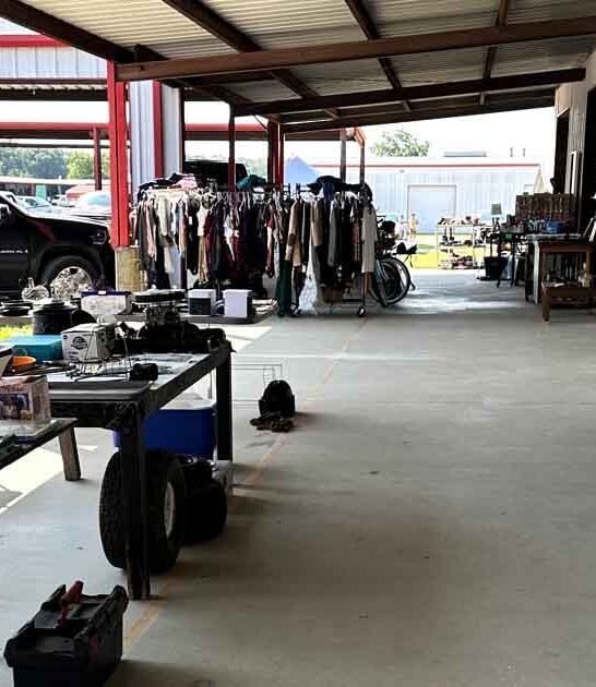 massive texas flea hunting ftr