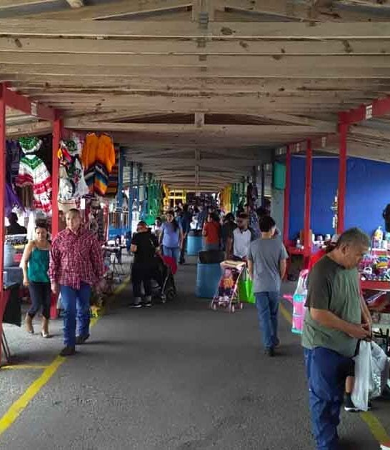 massive texas flea thrifting ftr