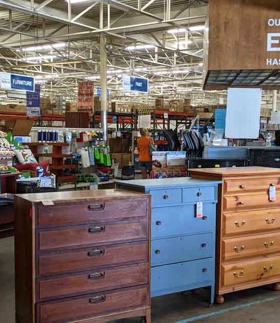massive thrift kentucky paradise ftr