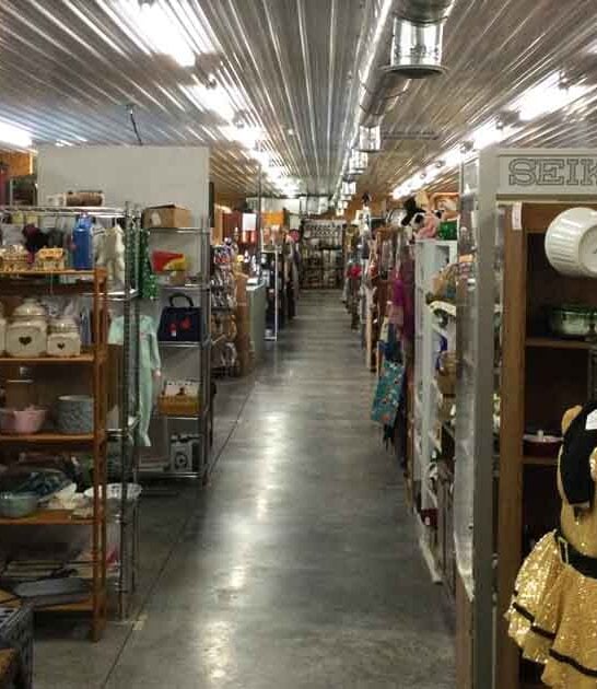 massive virginia flea budget ftr