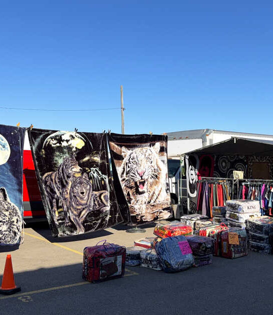 massive wisconsin flea shopping ftr